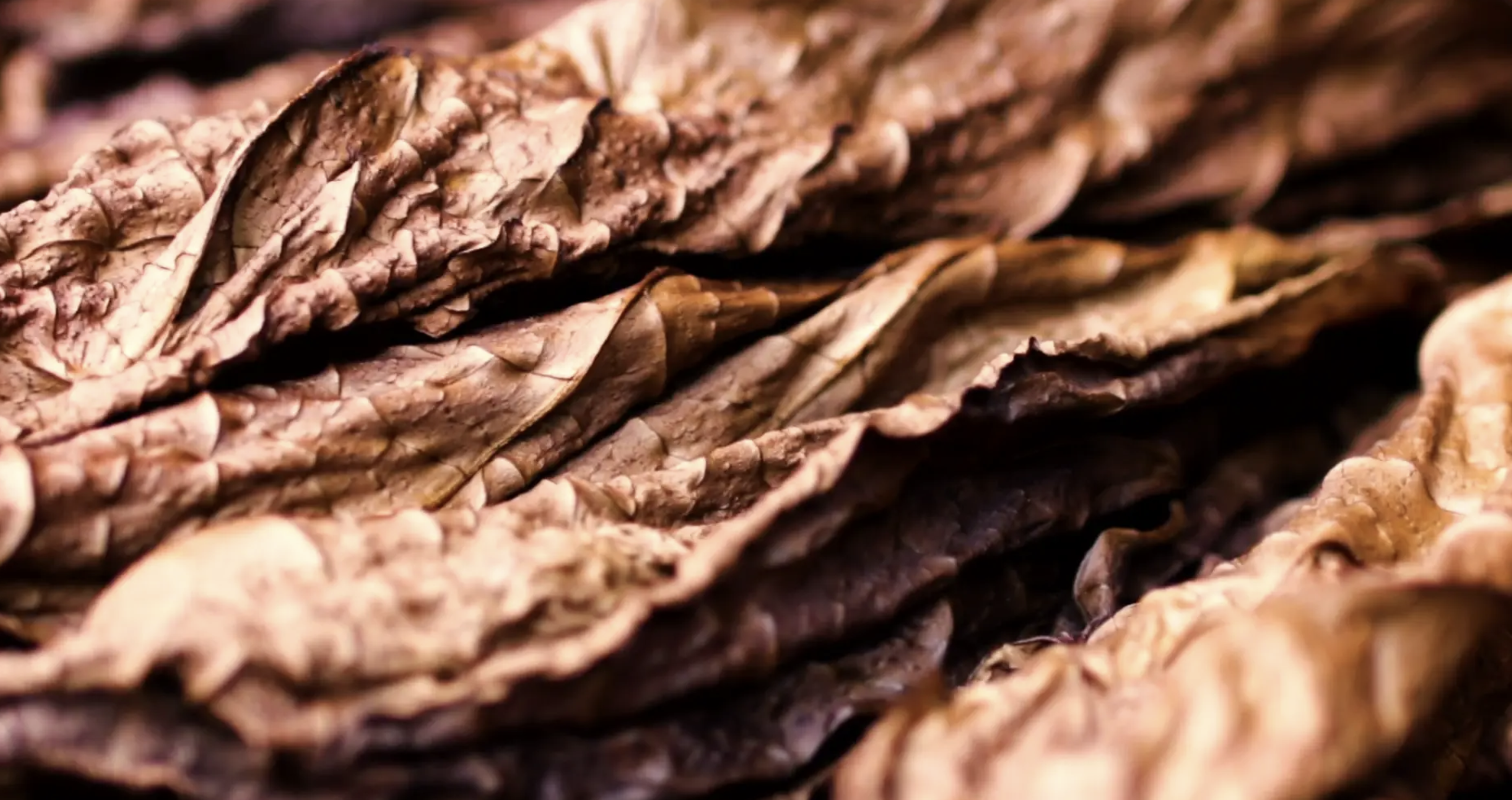 The Art of Creating an All-American Cigar - Avanti Cigar